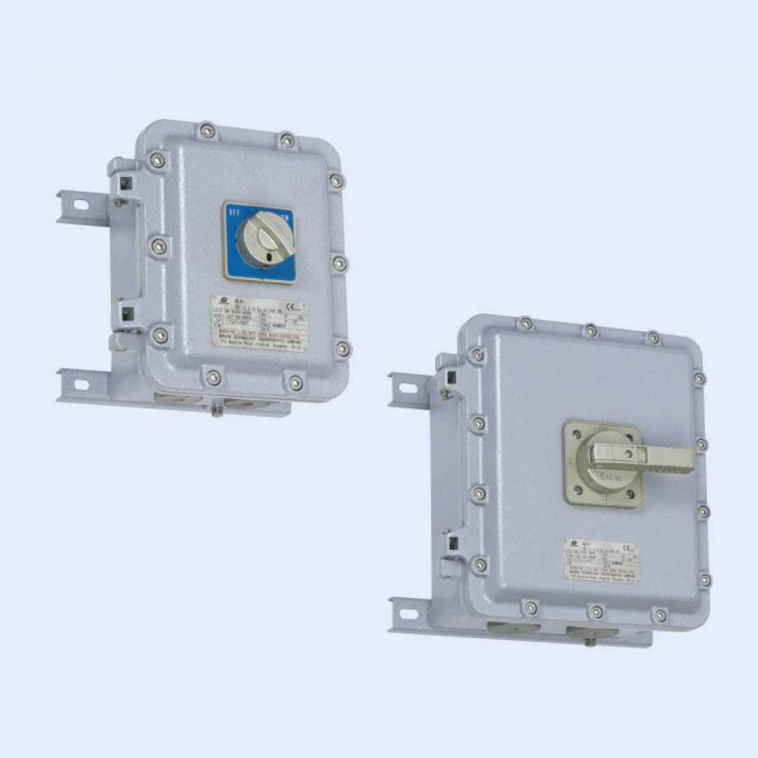 BLK Series Explosion-proof Motor Switches (IIB) - OME TECHNOLOGY