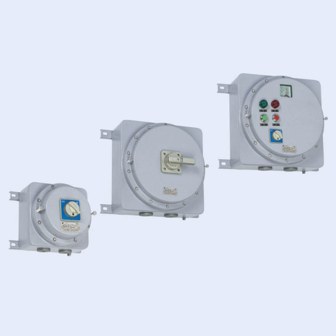 BLK Series Explosion-proof Motor Switches - OME TECHNOLOGY