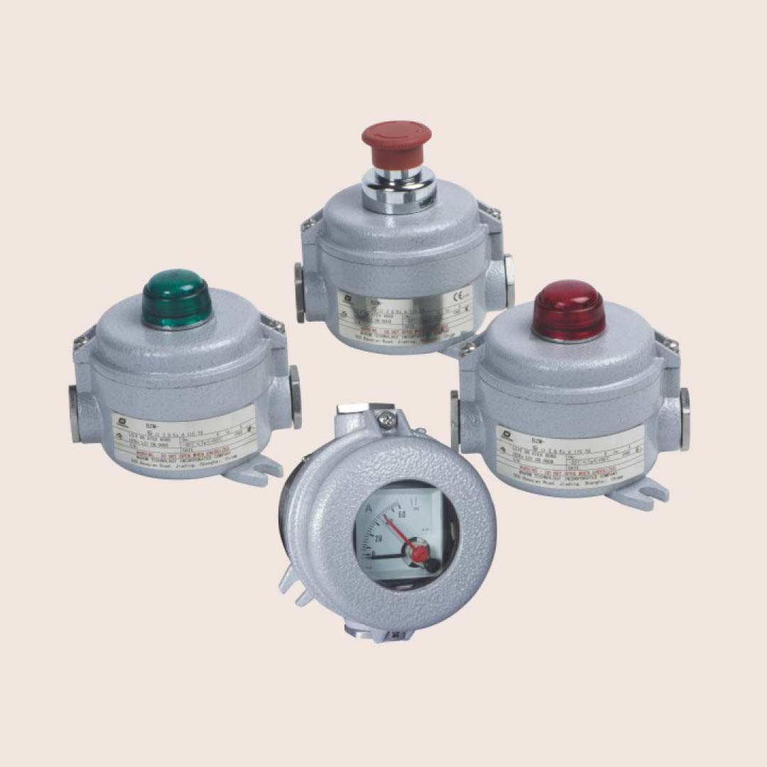 BZA85 Series Explosion-proof Control Unit Systems - OME TECHNOLOGY
